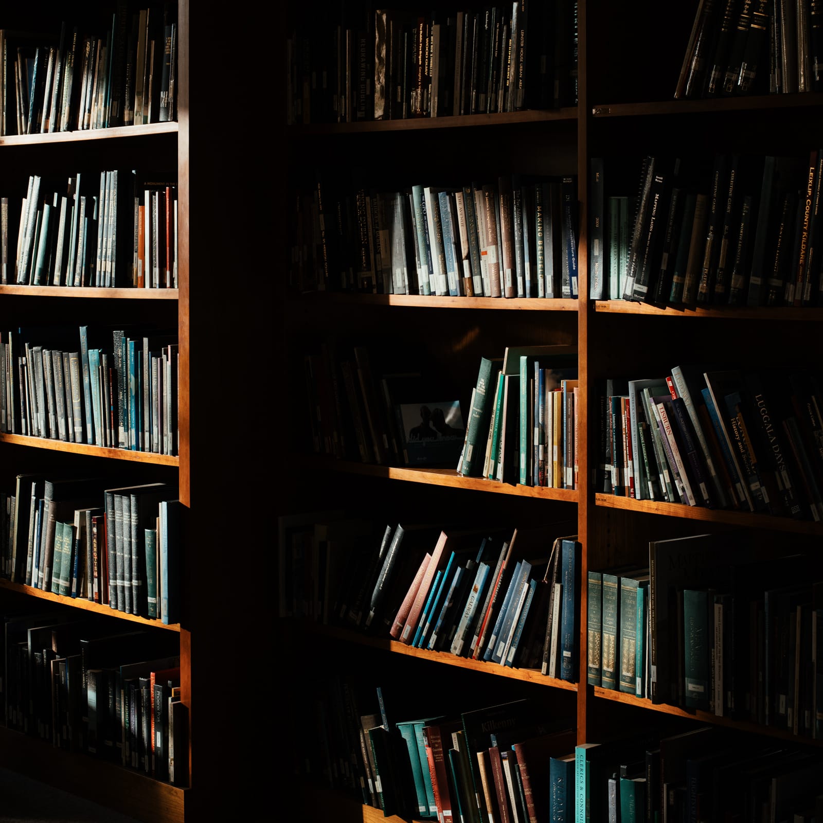 Collections – Irish Architectural Archive